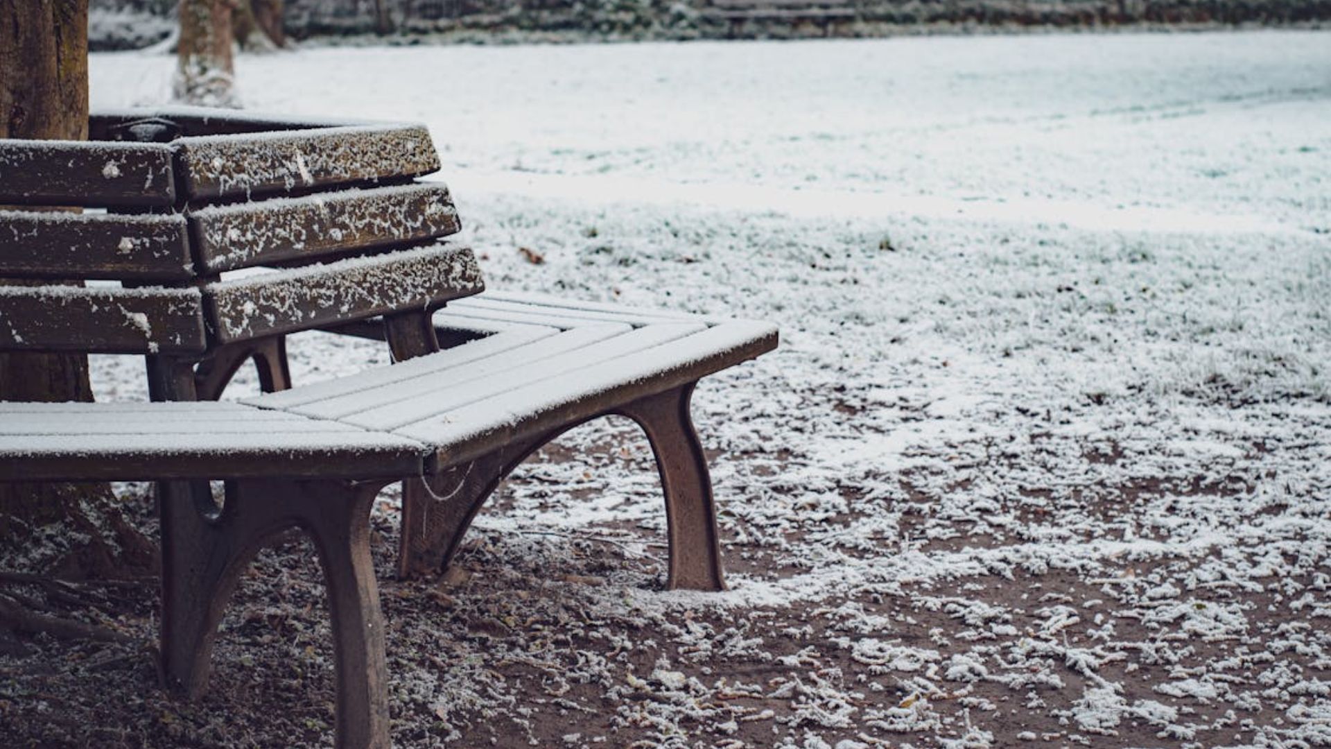 Places Experiencing Snowfall In India Right Now: Love At Frost Sight! 2024