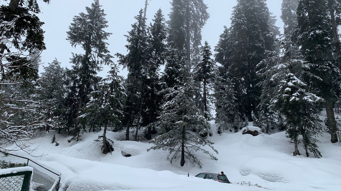 Places Experiencing Snowfall In India Right Now: Love At Frost Sight! 2024
