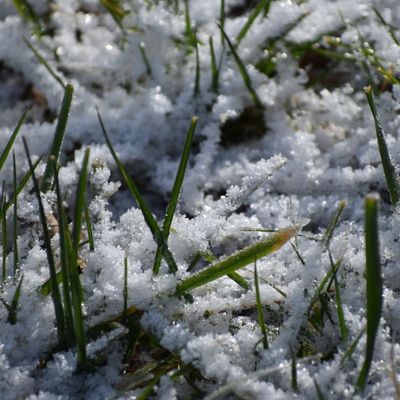 Snowfall In Odisha: State Reels Under Rare Cold Spell