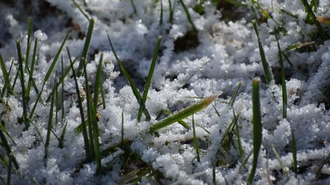 Snowfall In Munnar Turns Kerala Hill Station Into Winter Paradise