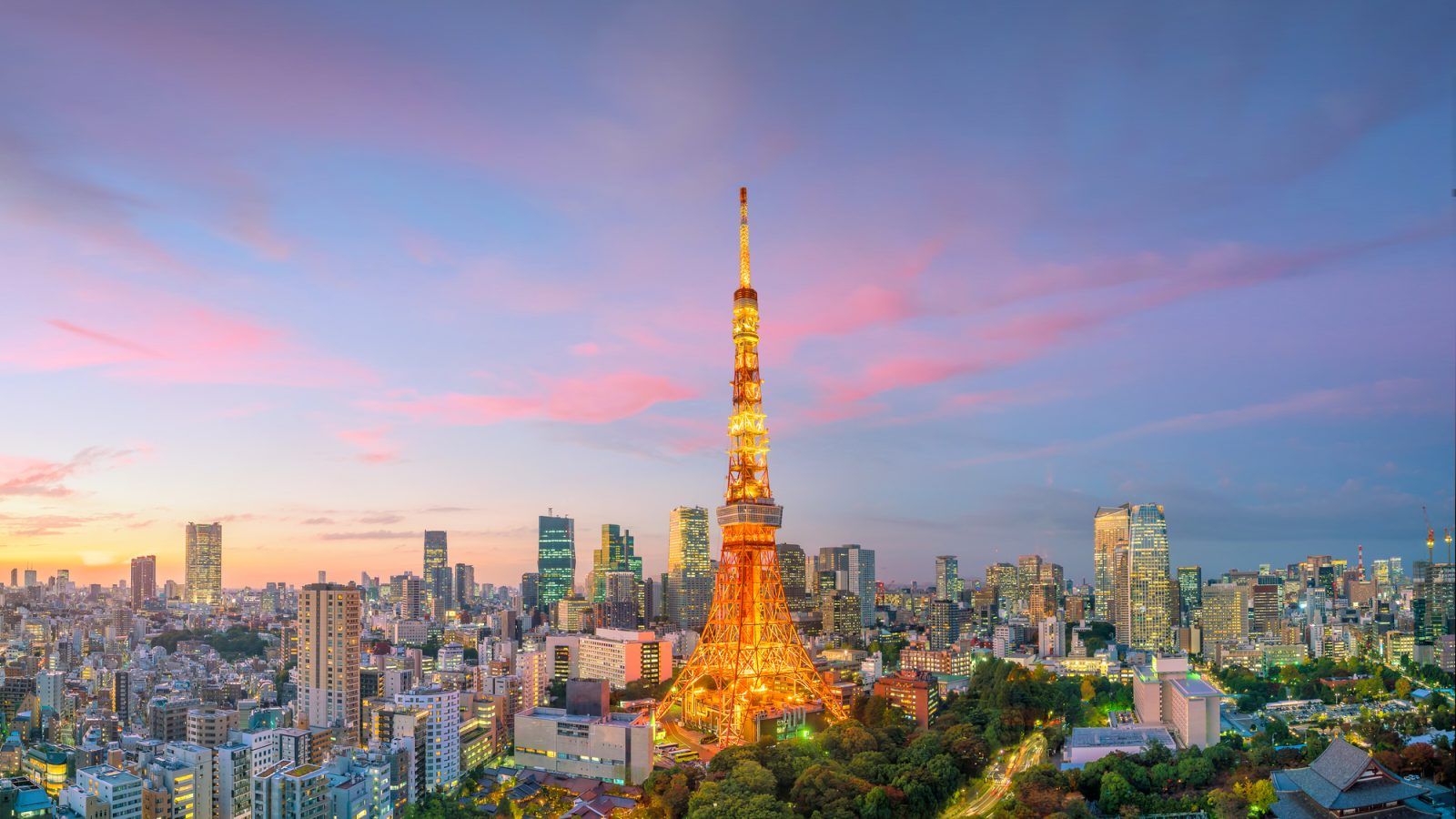 Everything You Need To Know About The Charm Of Tokyo