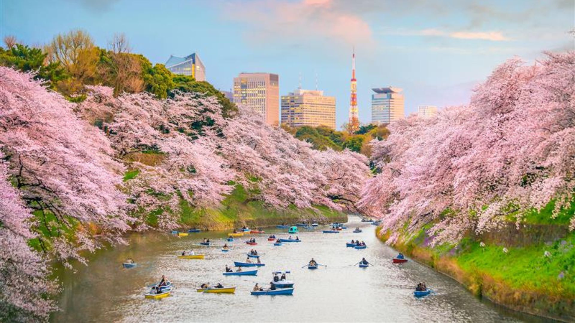 Everything You Need To Know About The Charm Of Tokyo