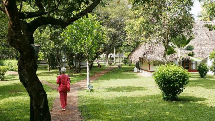 Top Spas In Kerala, A Sanctuary For Ayurvedic Massage And Healing