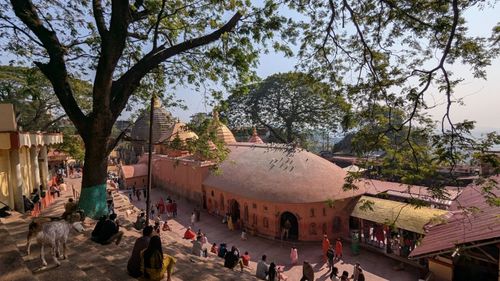 All About Assam's Brahmaputra Carnival 2025, From Activities To Glamping