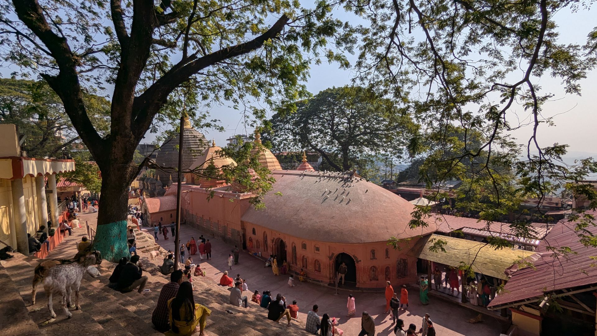 All About Assam's Brahmaputra Carnival 2025, From Activities To Glamping