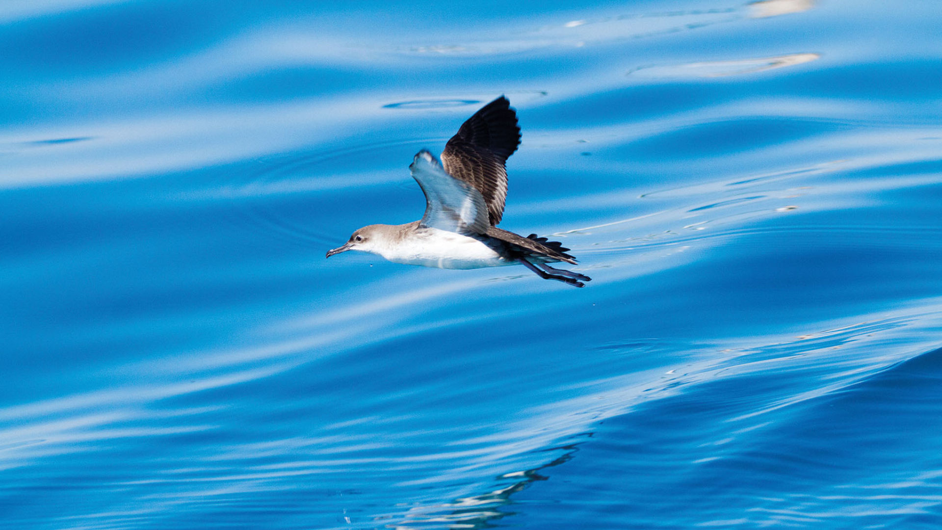 Bookmark This: 10 Unique Adventure Activities For Your Bucket List