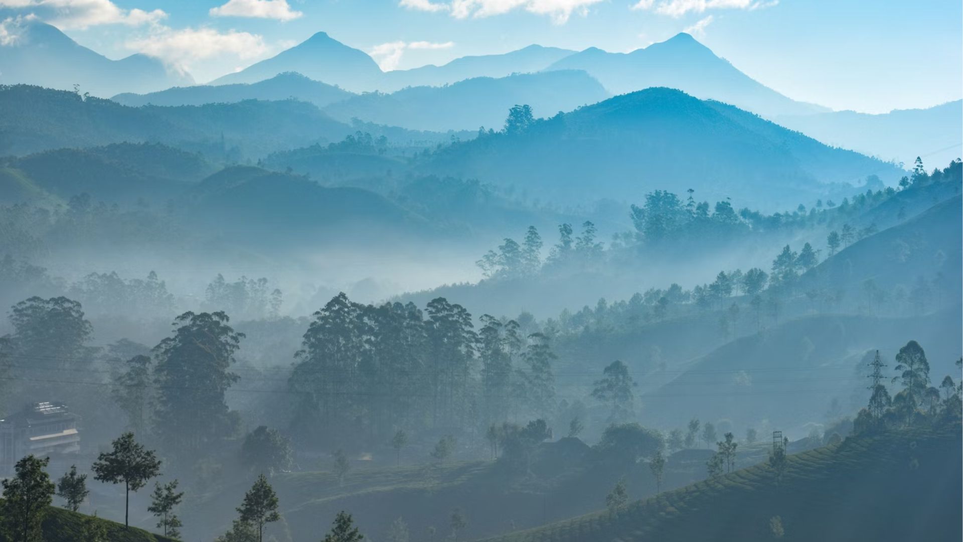 Munnar Enjoys Zero-Degree Bliss: Top Spots To Savour The Winter Chill