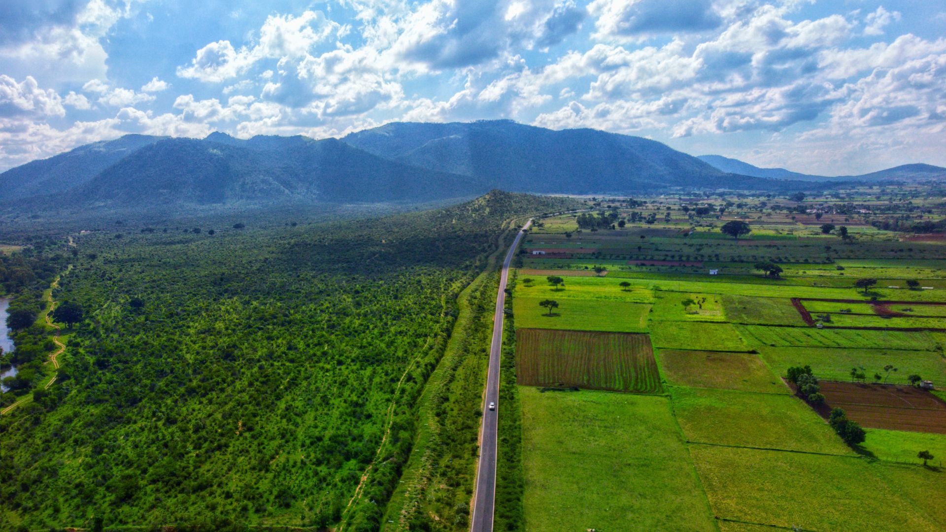 Gundlupet Tourist Places: Exploring The Picturesque 'Flower Pot Of India'