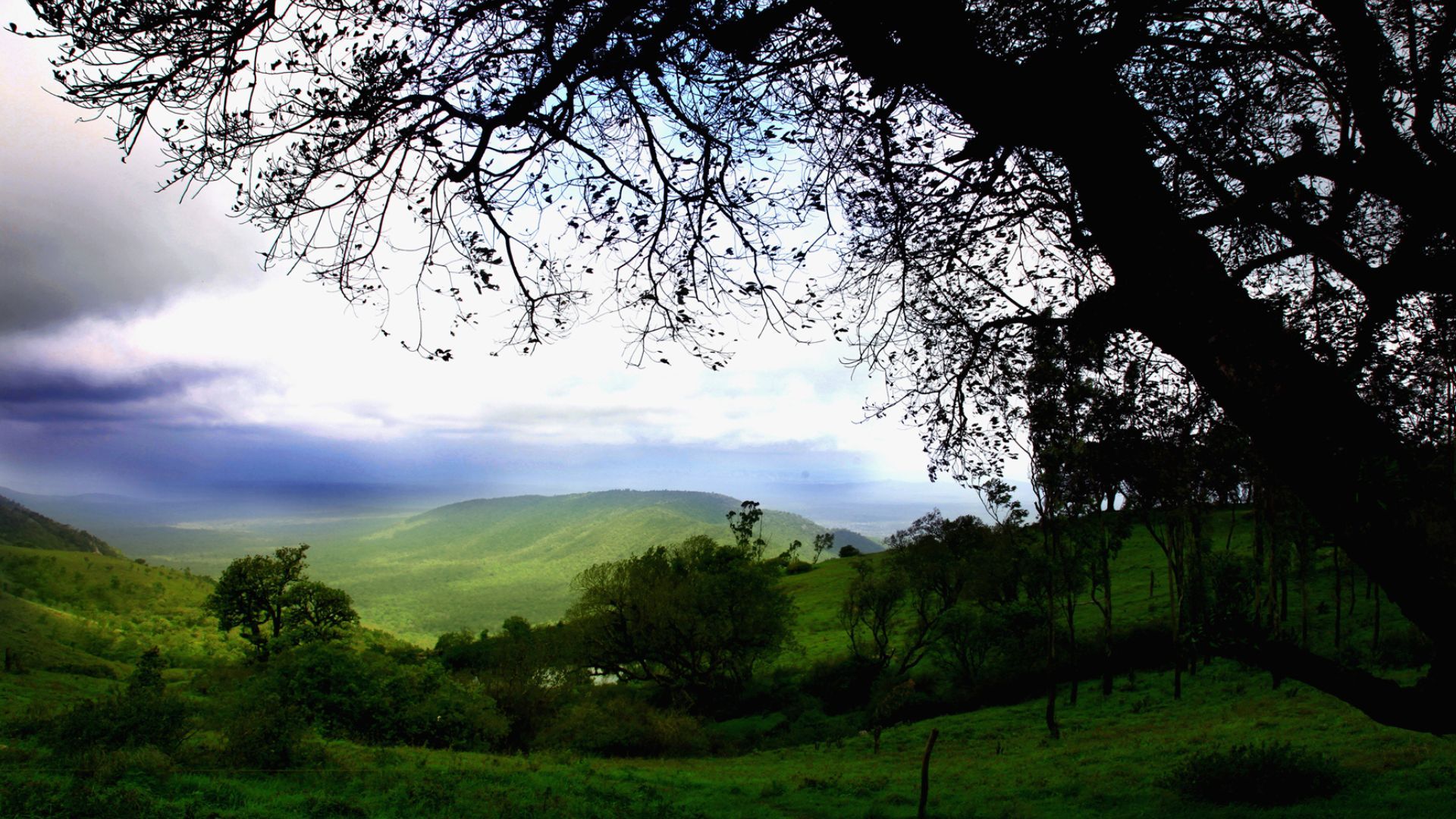 Gundlupet Tourist Places: Exploring The Picturesque 'Flower Pot Of India'