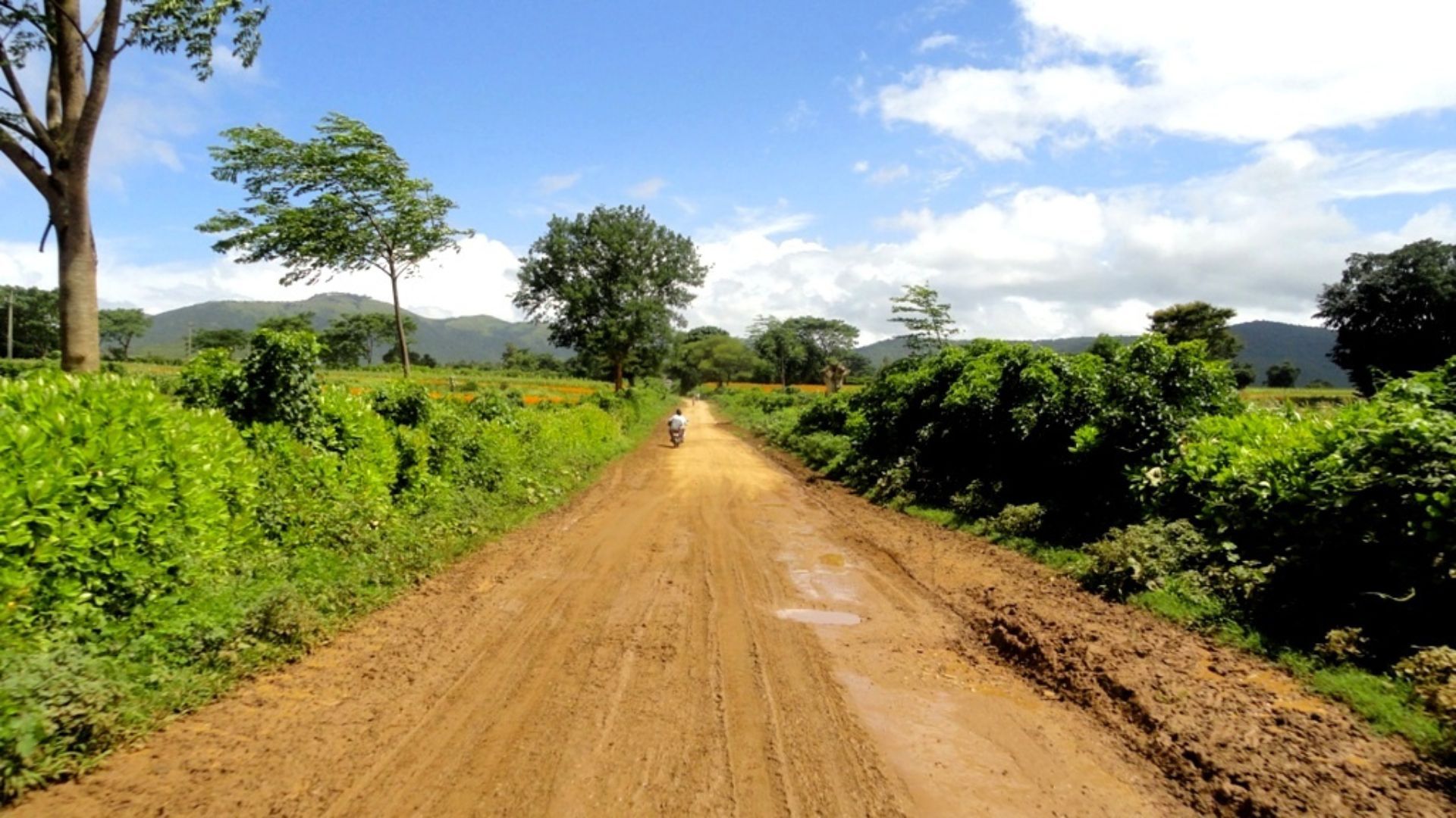 Gundlupet Tourist Places: Exploring The Picturesque 'Flower Pot Of India'