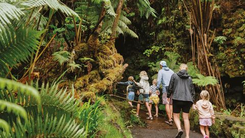 Hawaii: The Ultimate Destination For Your Dreamy Family Vacation