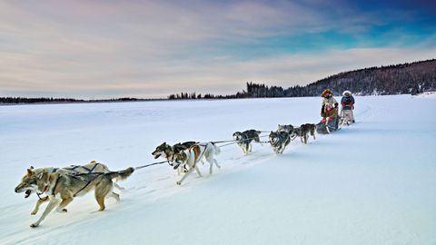 Living The Alaskan Dream: A Homestead Escape In The Heart Of Winter