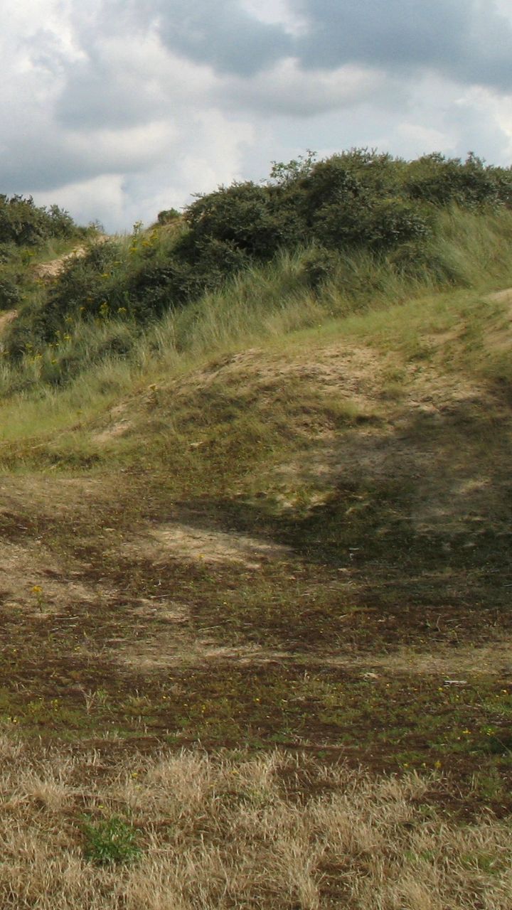 Smallest Mountains In The World: A Travel Guide