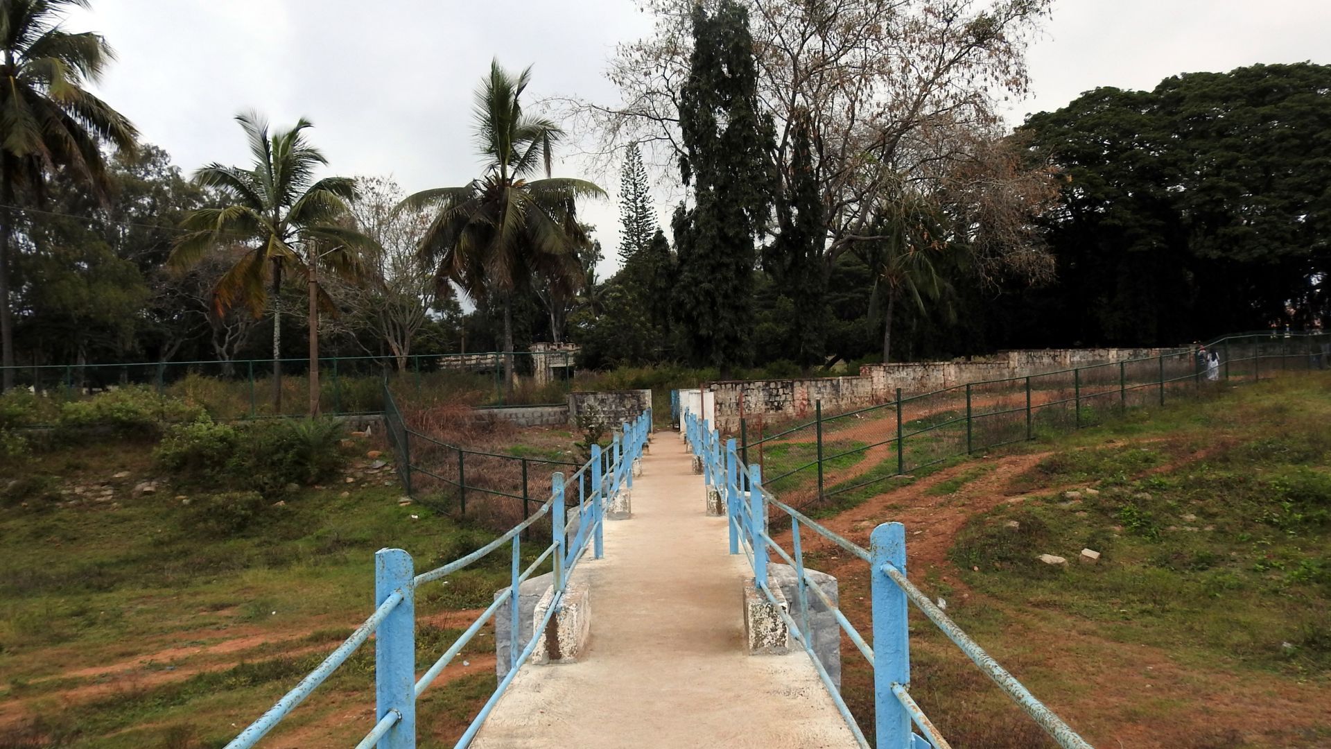 Discover Hesaraghatta: Bengaluru’s Last Grassland Conservation Reserve