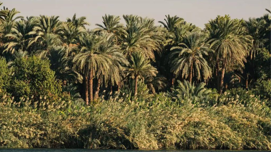 Explore The Temples Of Nile Onboard Nour el Nil's Poppee