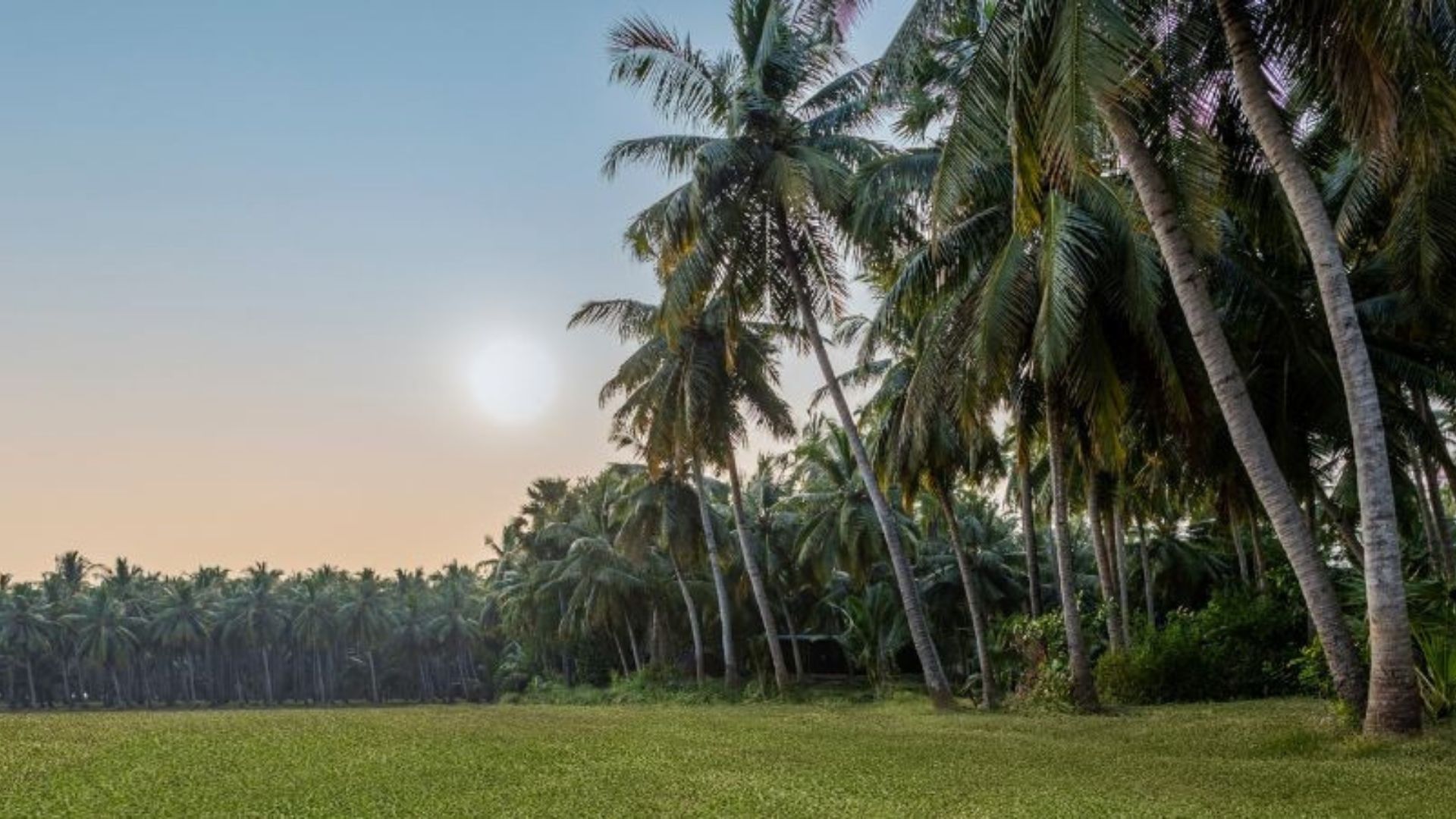 Sterling Palavelli Godavari: A Serene Oasis Of Understated Luxury