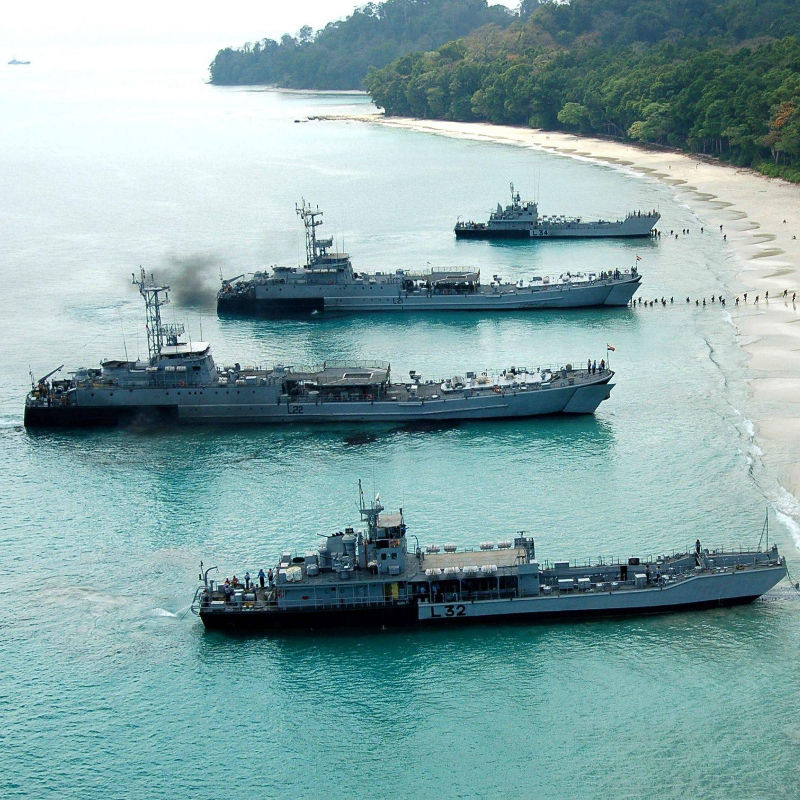 This Artist Creates The Most Realistic Bird Sculptures You've Ever See