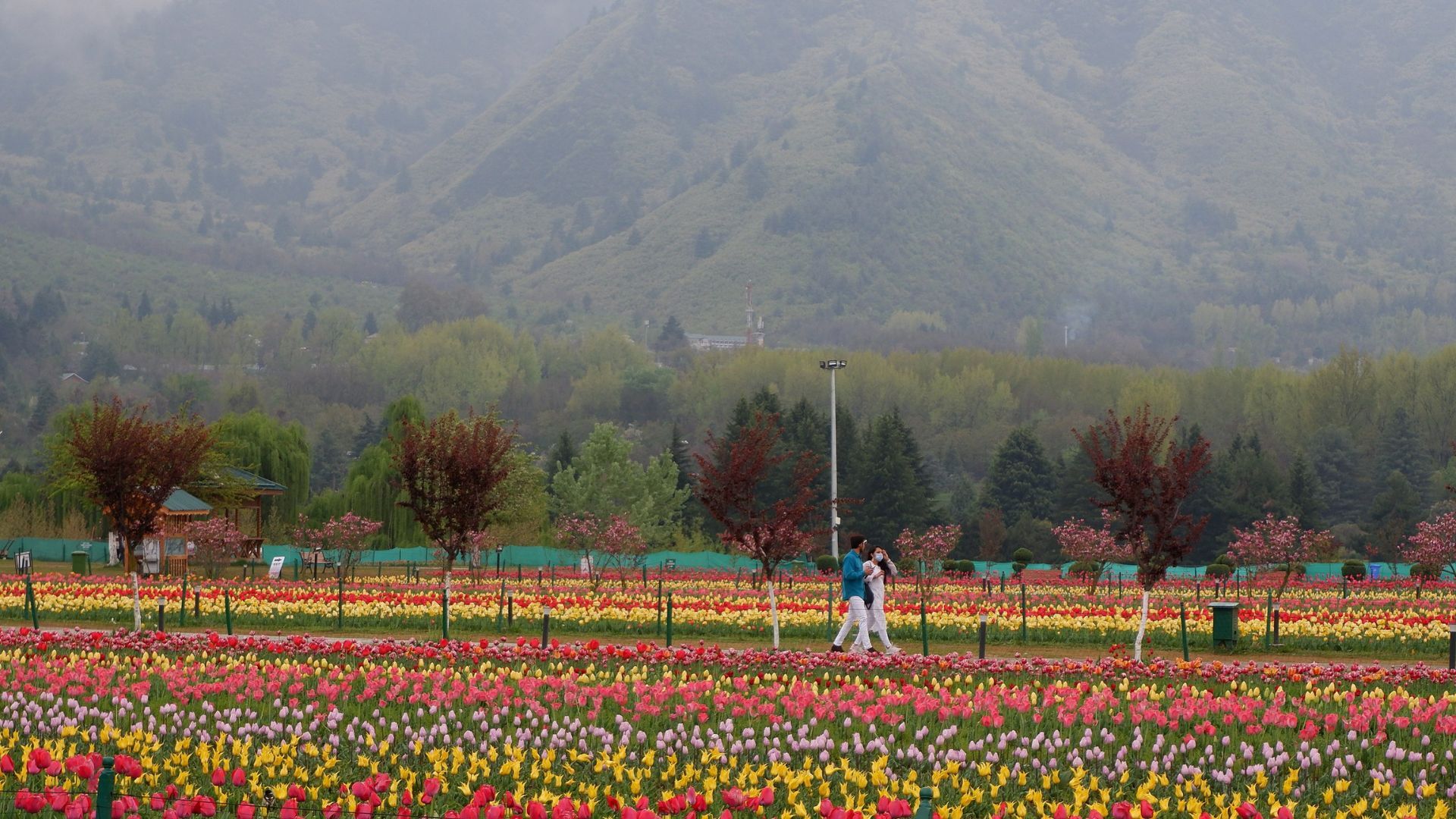 Places To Visit In India In March 2025 To Enjoy The Best Of Spring & Holi
