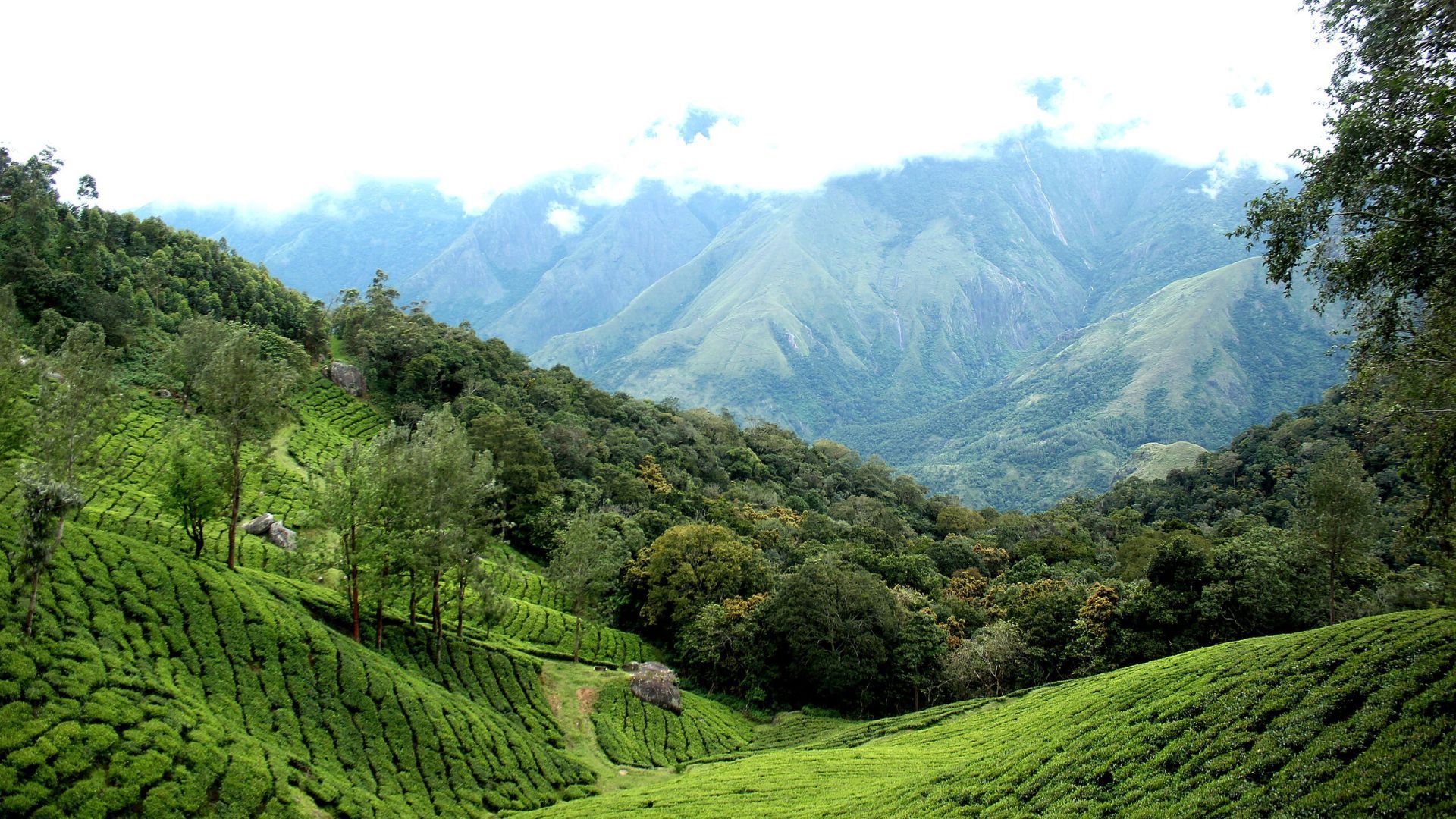 Places To Visit In India In March 2025 To Enjoy The Best Of Spring & Holi