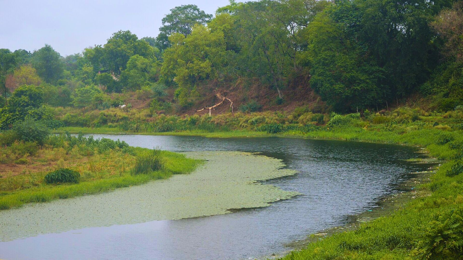 Places To Visit In Chitrakoot, The Land Of Legends And Landscapes