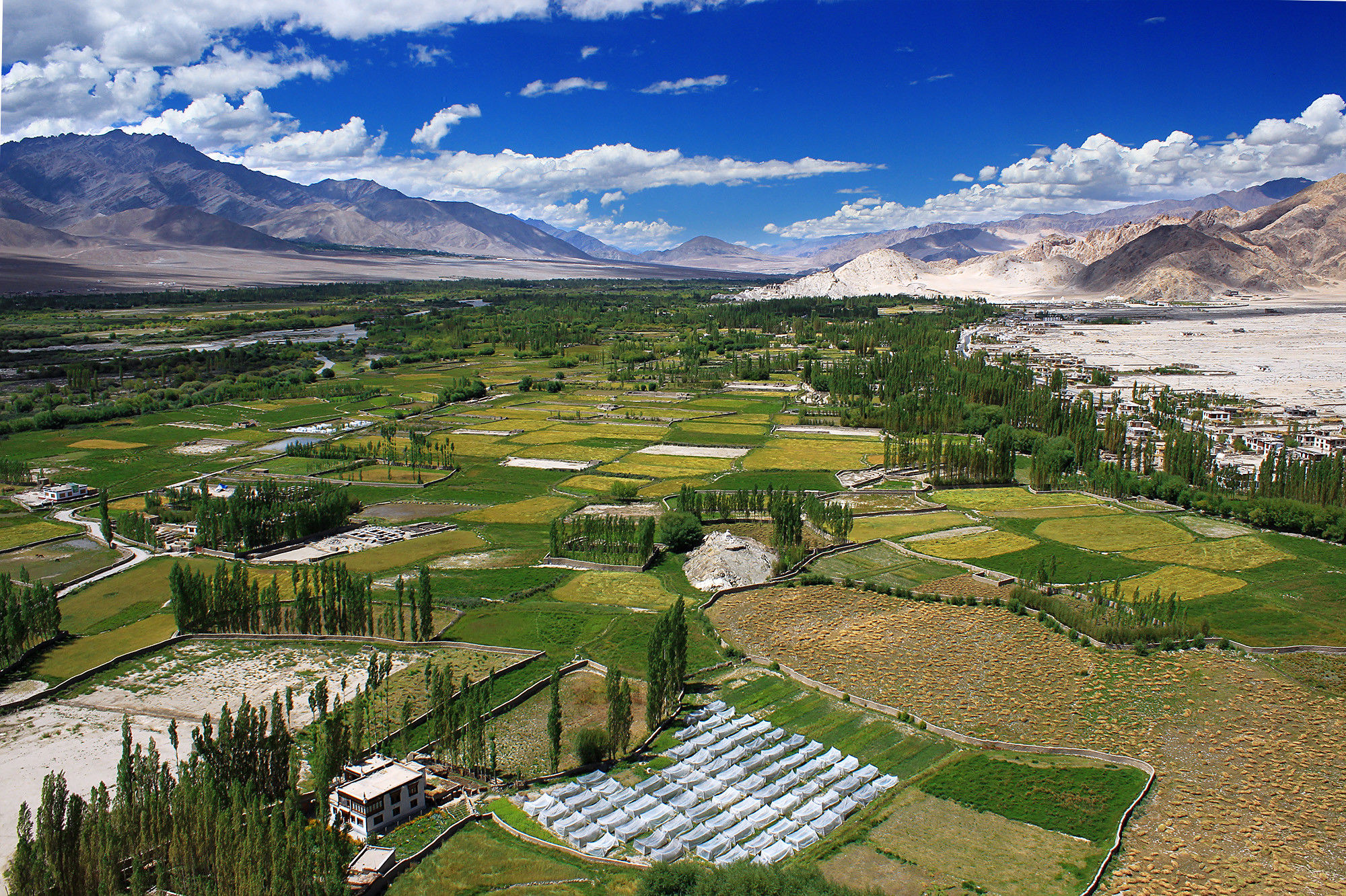 Places To Visit In Ladakh: Exploring The Beautiful Land Of High Passes
