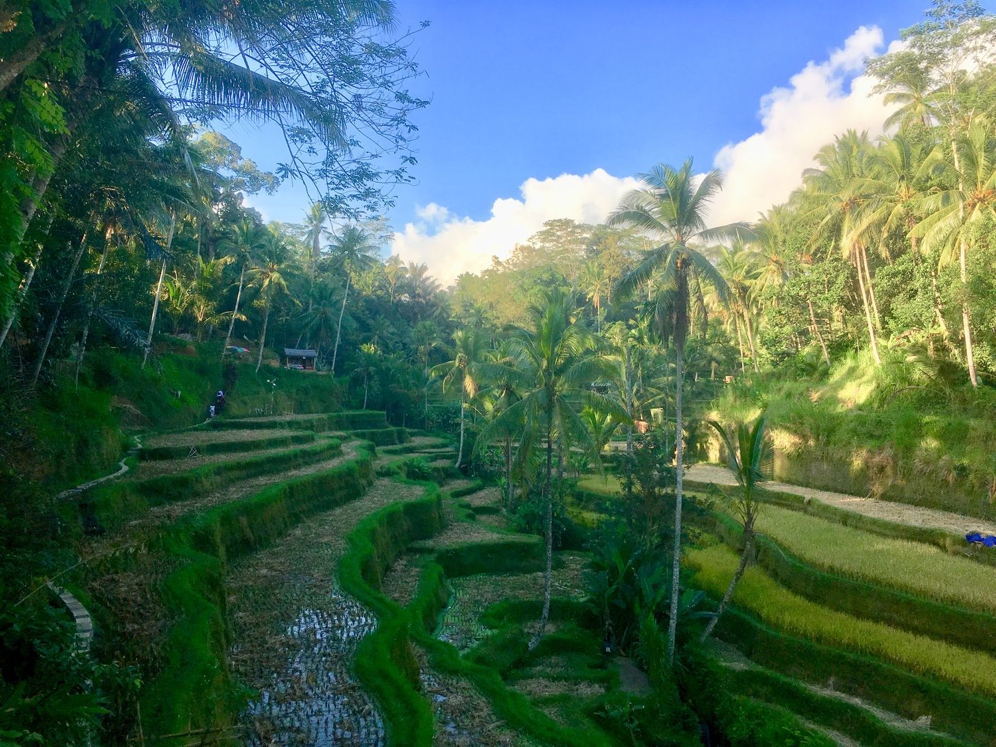Places To Visit In Bali: The Best Of Temples, Trails, And Tropical Shores