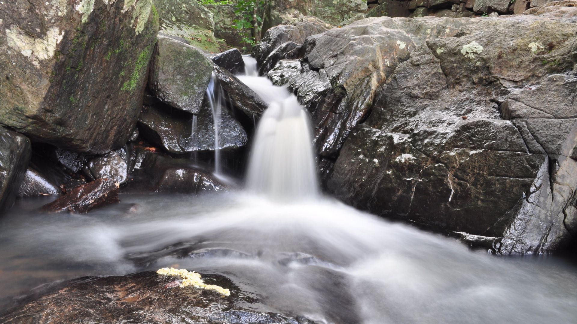 Tourist Attractions In Rajahmundry, The Cultural Capital Of Andhra Pradesh
