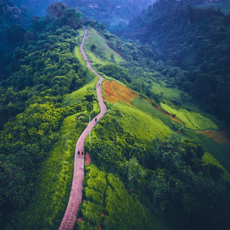 Bangaram Is The Secret Island That No One Wants You To Know About