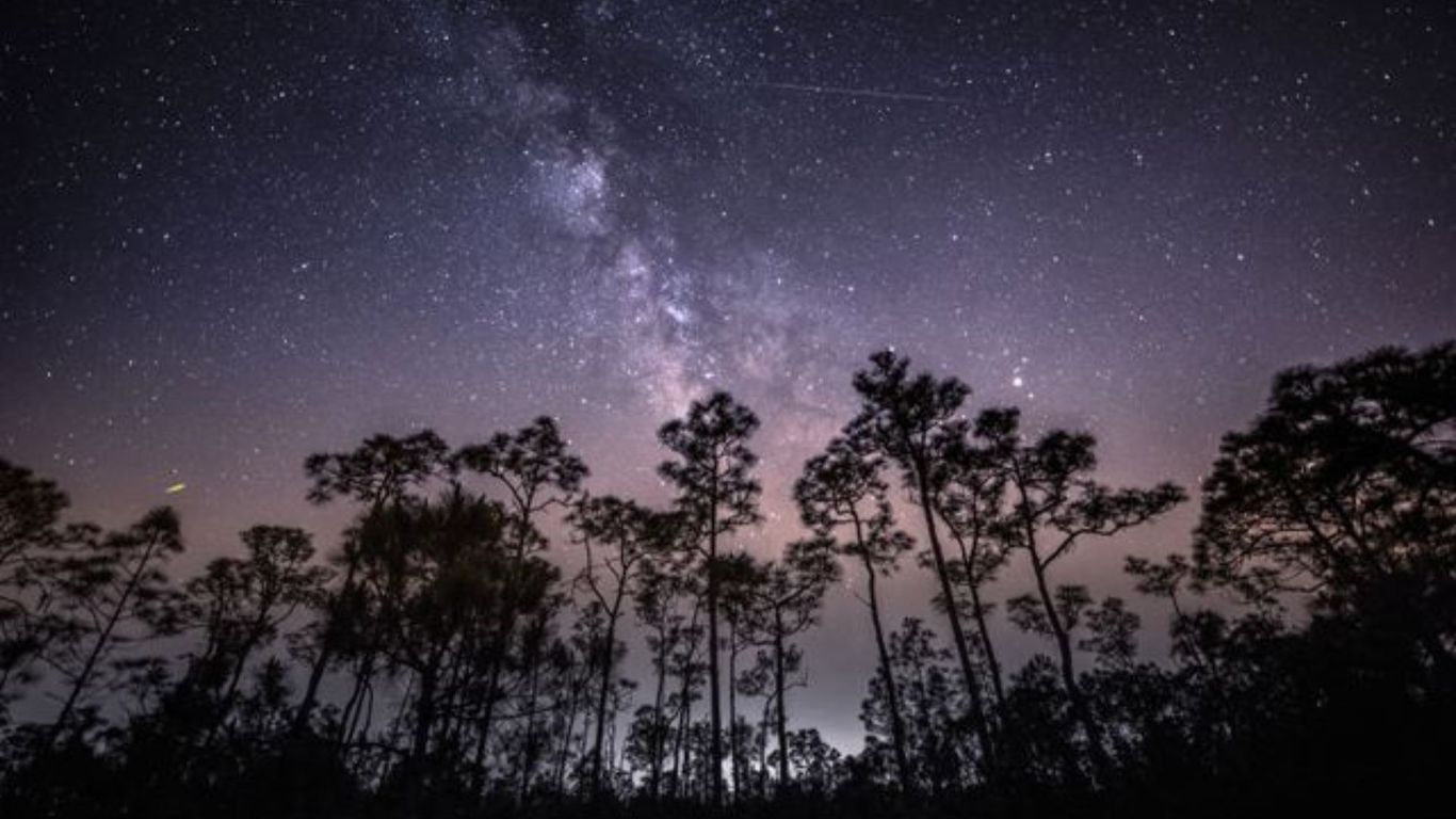 The Complete Guide To 2025's Meteor Showers