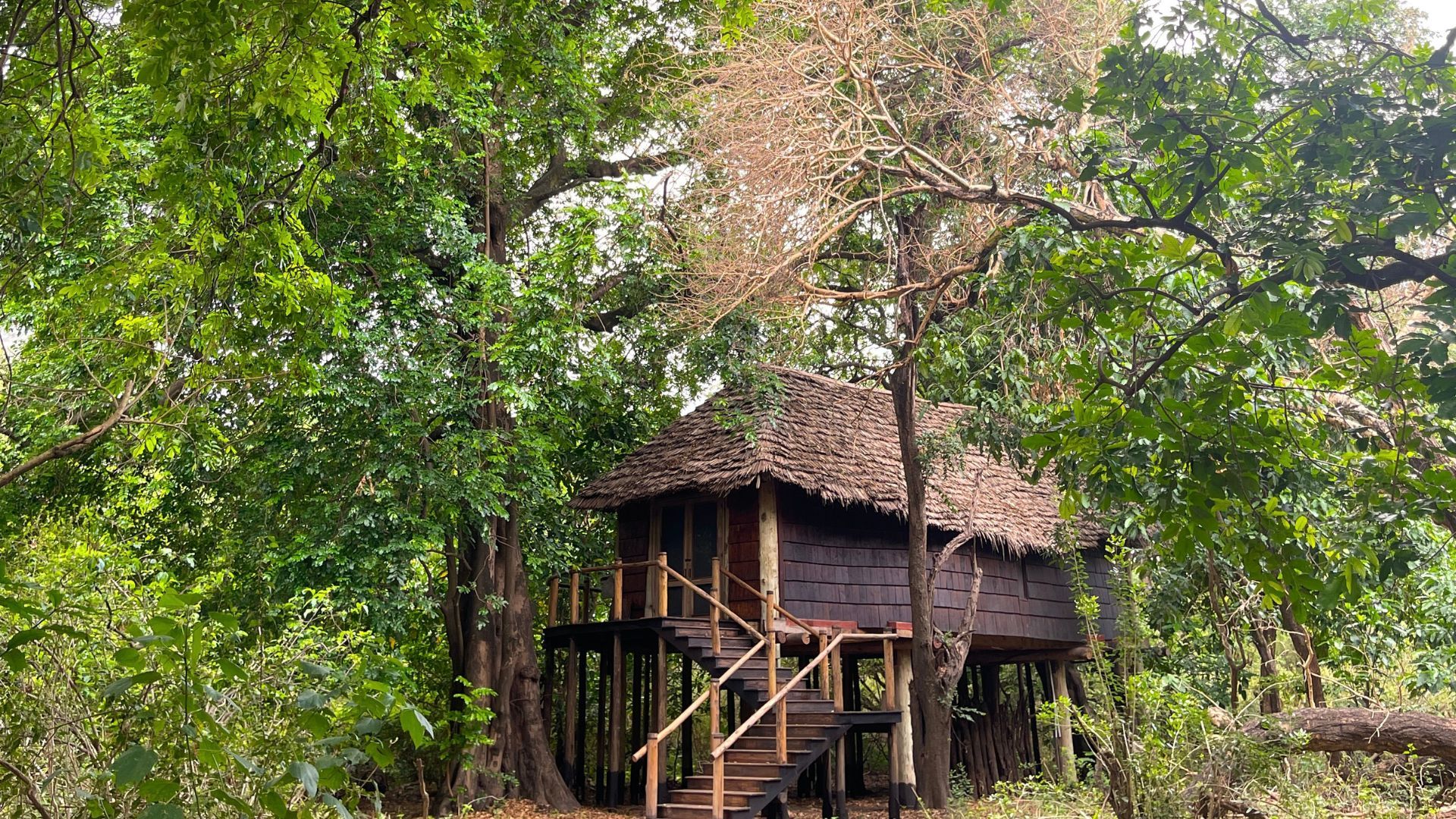 A Safari Adventure At Tanzania’s Lake Manyara National Park