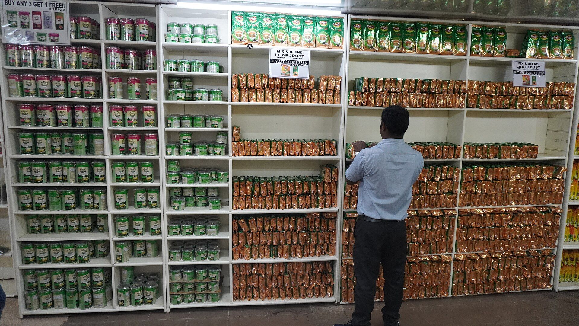 Tourist Places In Munnar: Tea Trails To Mountain Tales And So Much More