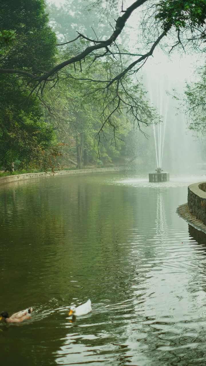 Popular Lakes In And Around Delhi Ncr