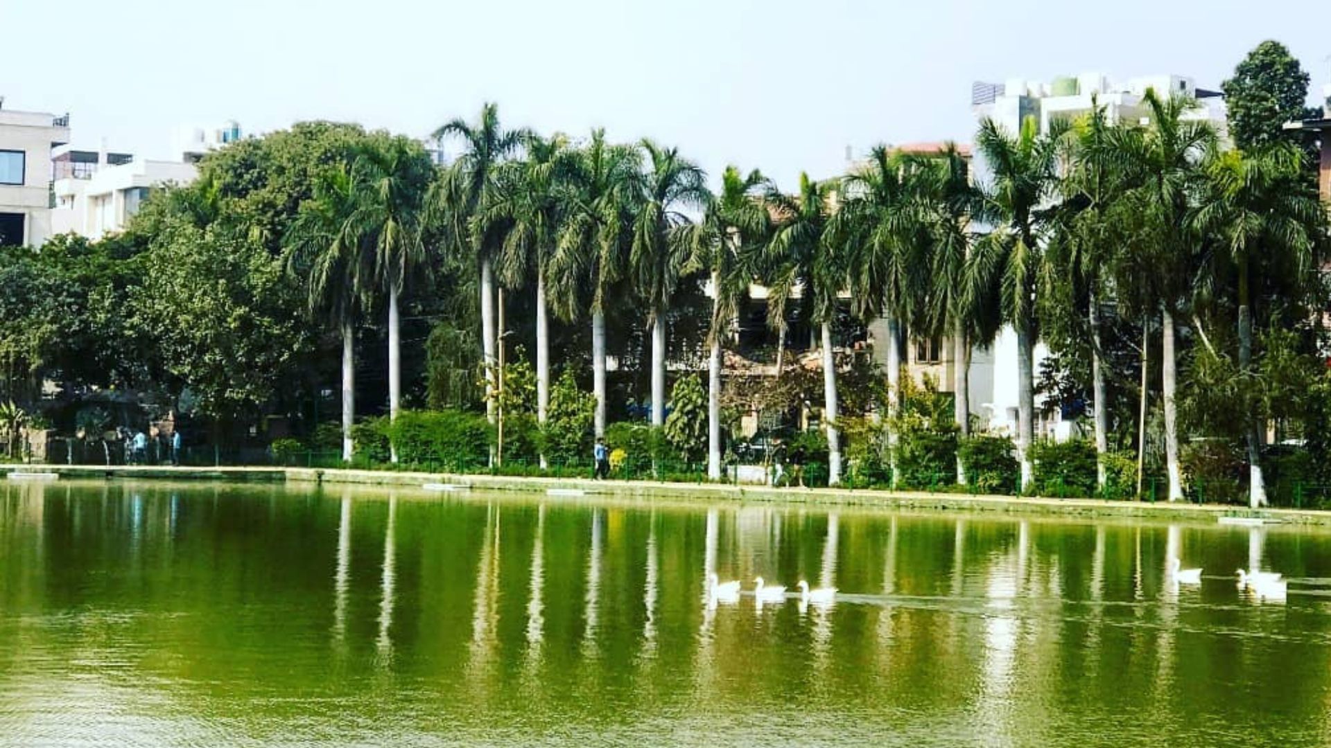 Naini Lake In Delhi: A Picturesque Retreat In The Heart Of The City