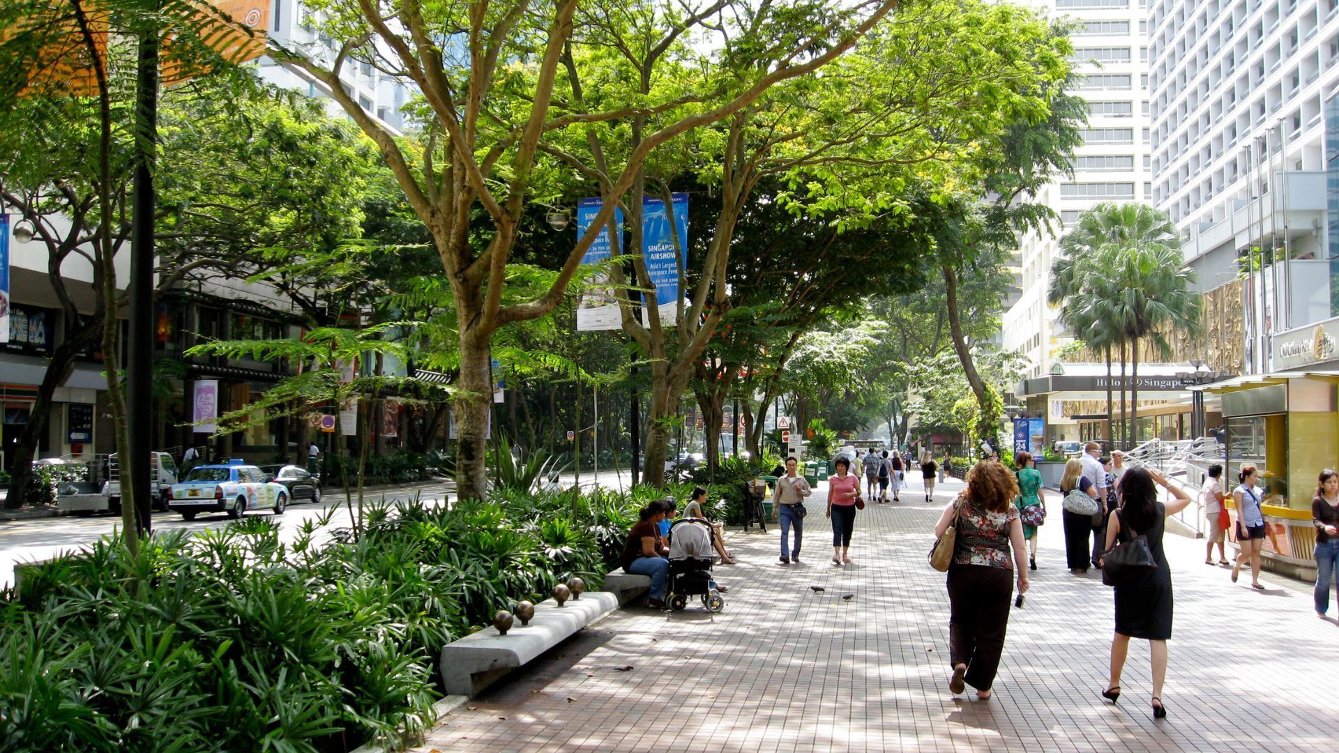 Thomson East Coast Line: Best Things To Do Along Singapore's MRT