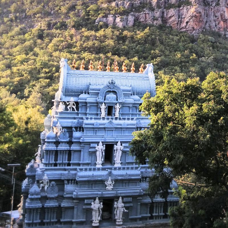 Coorg Itinerary:10 Days Guide To Off-The-beaten-Path Exploration Of Kodagu