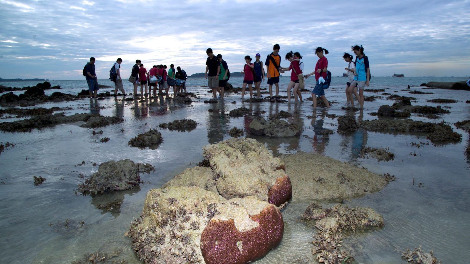 Semakau Island: A Secret Sanctuary That Went From Trash To Treasure