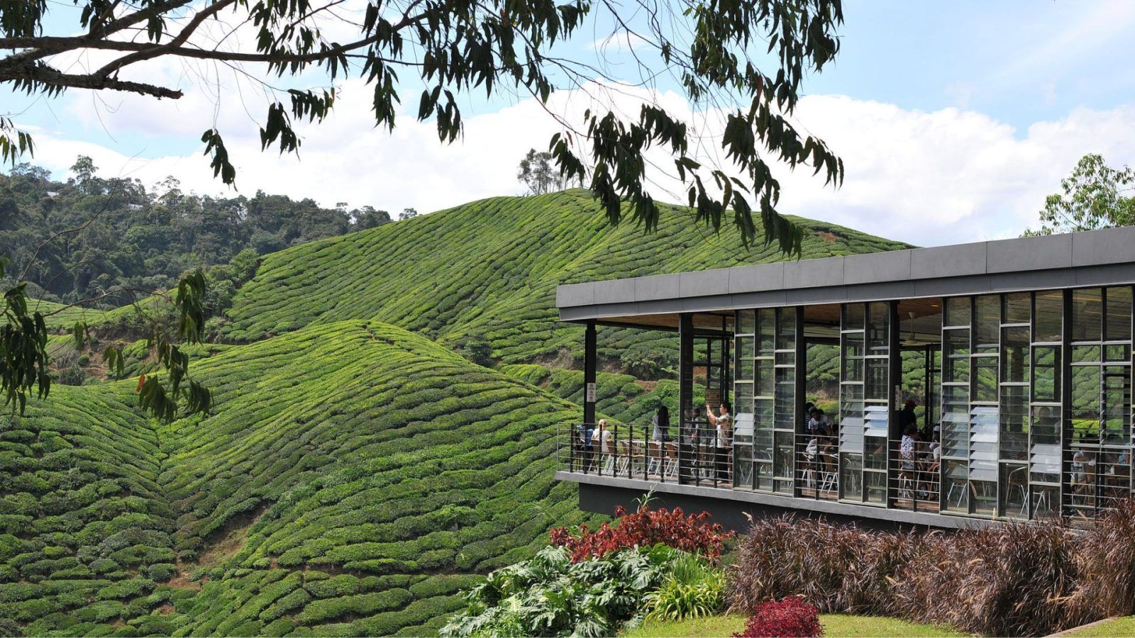 Day Trips From Ipoh: Top Destinations For An Authentic Malay Experience
