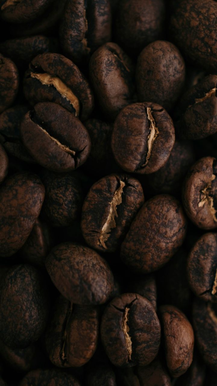 Best Homegrown Indian Coffee Brands