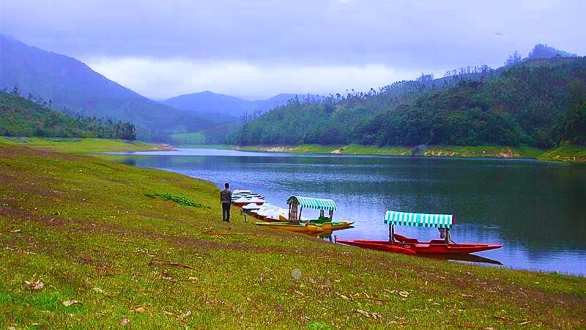 Best Time To Visit Munnar For A Quiet Escape Amidst Stunning Views