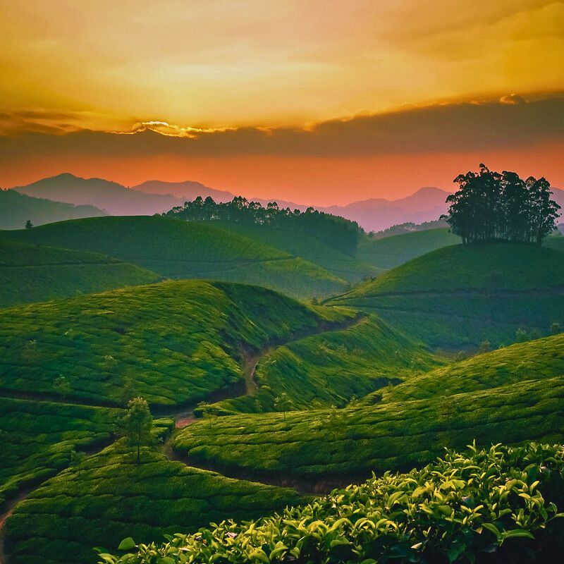 Coorg Itinerary:10 Days Guide To Off-The-beaten-Path Exploration Of Kodagu