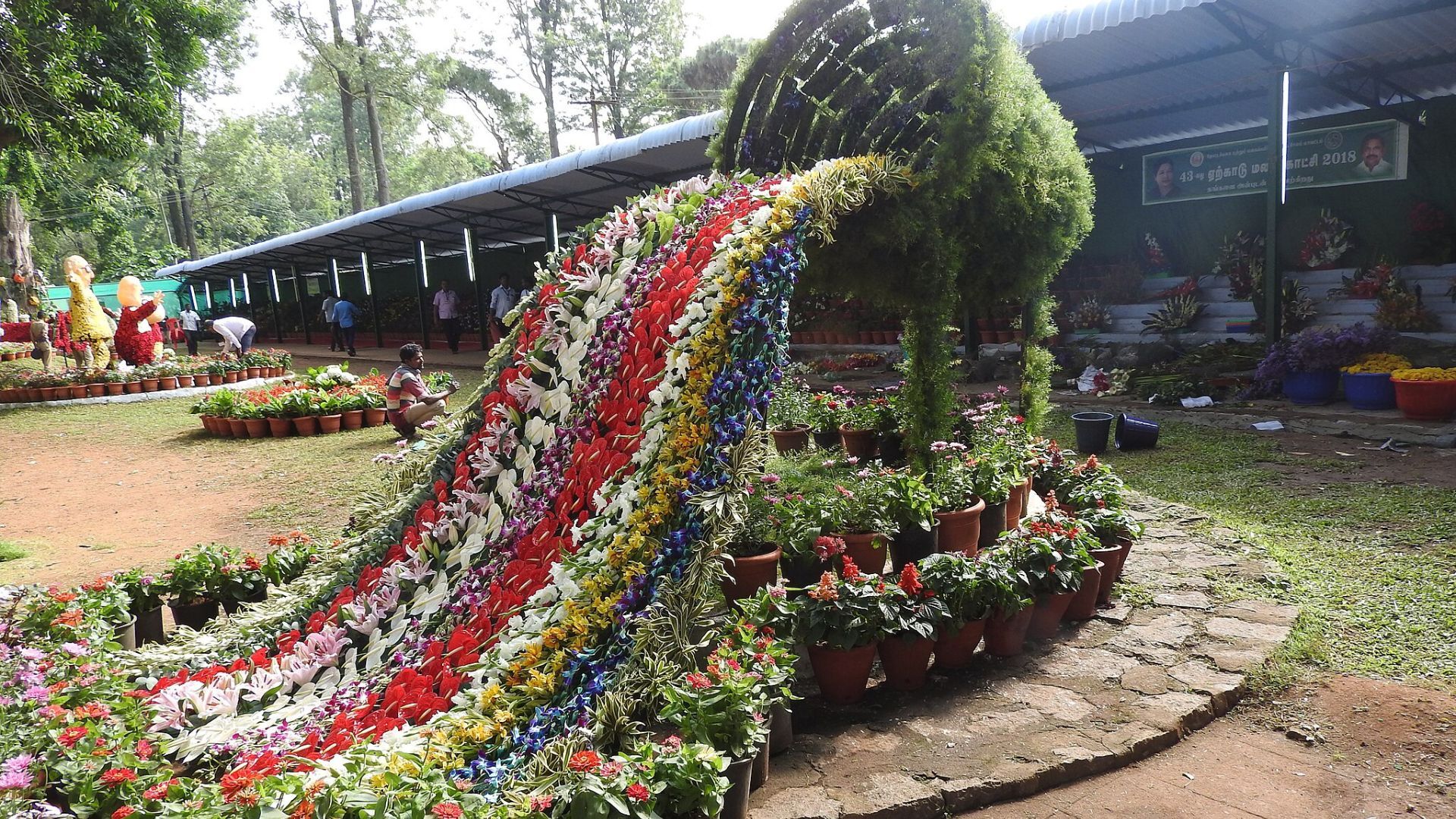 Events In May 2025: Festivals, Fun And Fantastic Concerts Across India