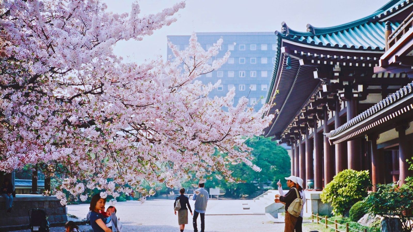 Places To Visit In Fukuoka To Experience Real Japan