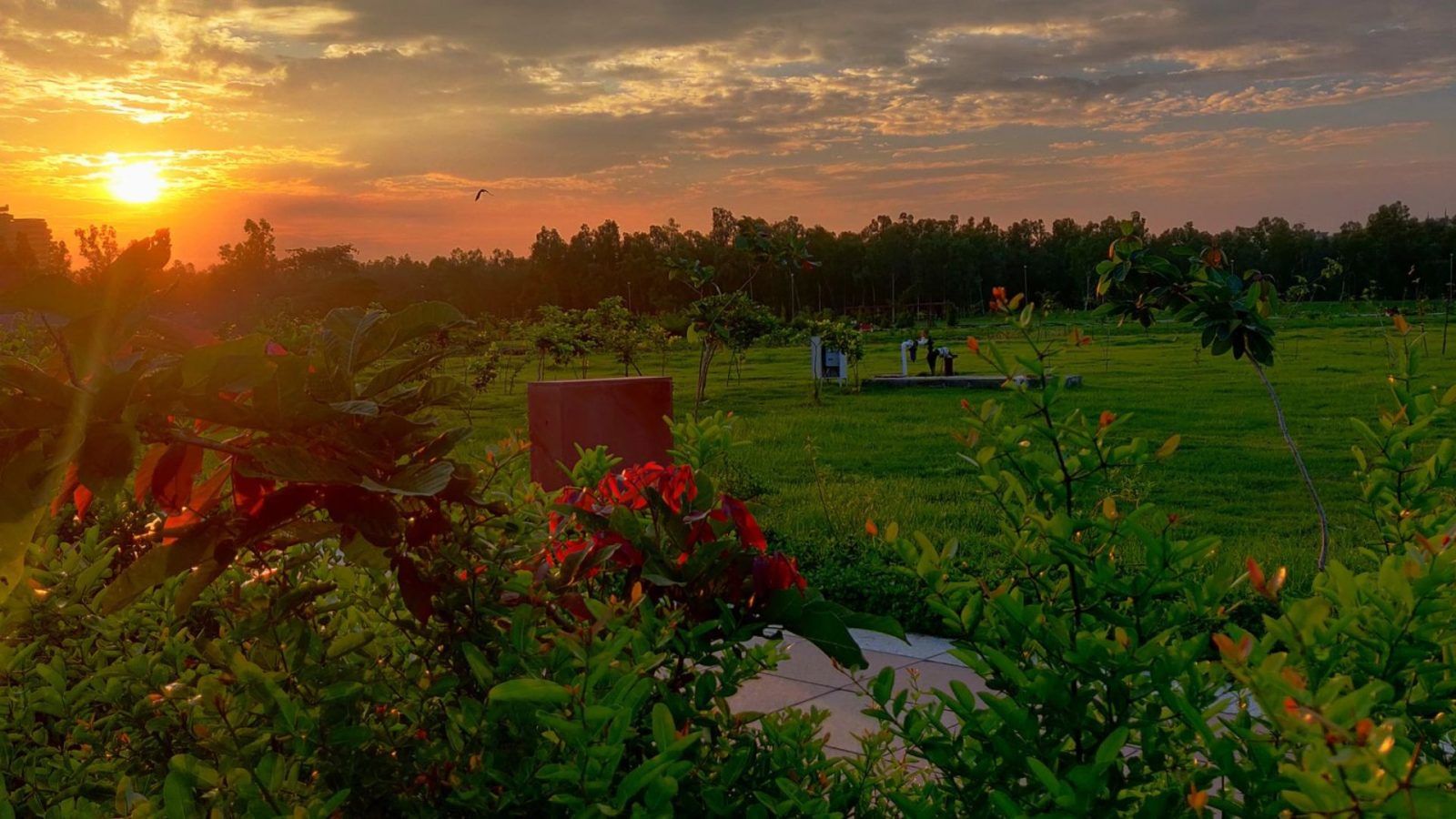 Deer Park And Mini-Zoo Coming To Noida, Featuring Sunset Safari