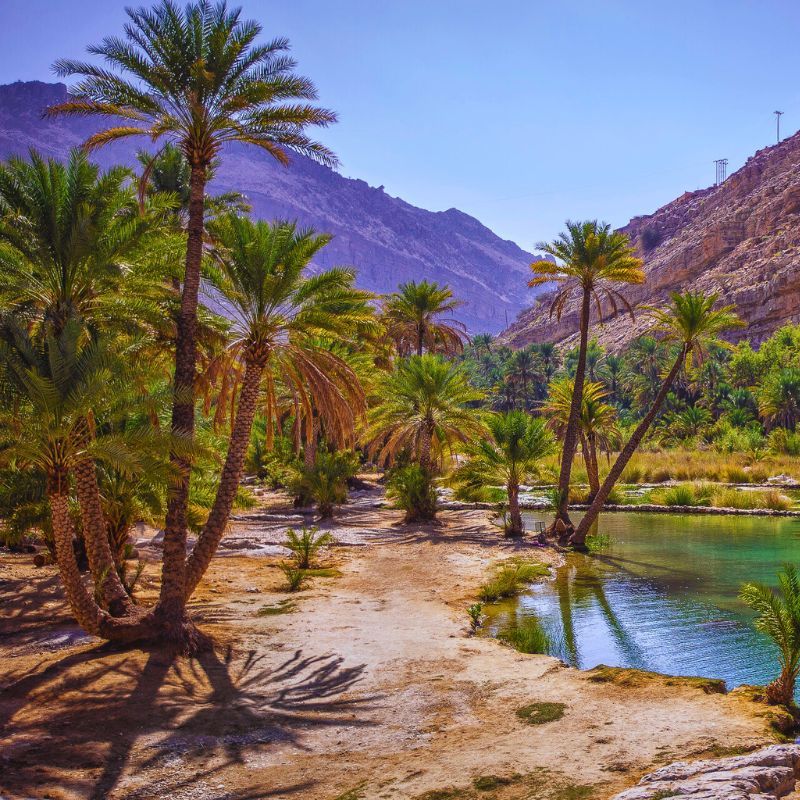 Trust These 10 Tattoo Studios In India For Your Next Body Art