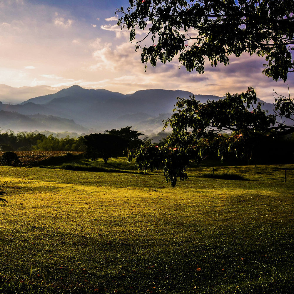 Akra -- New Delhi's Restobar That Is All Things Cosy, Chic & Creative!