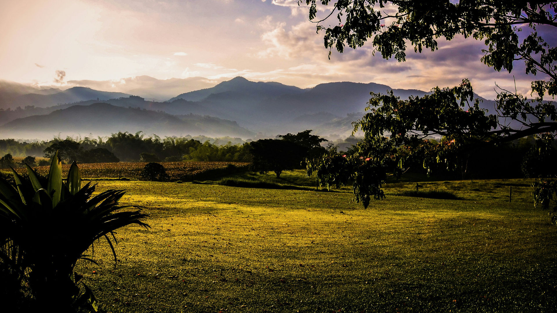 Your Guide To The Best Coffee Trails Around The Globe