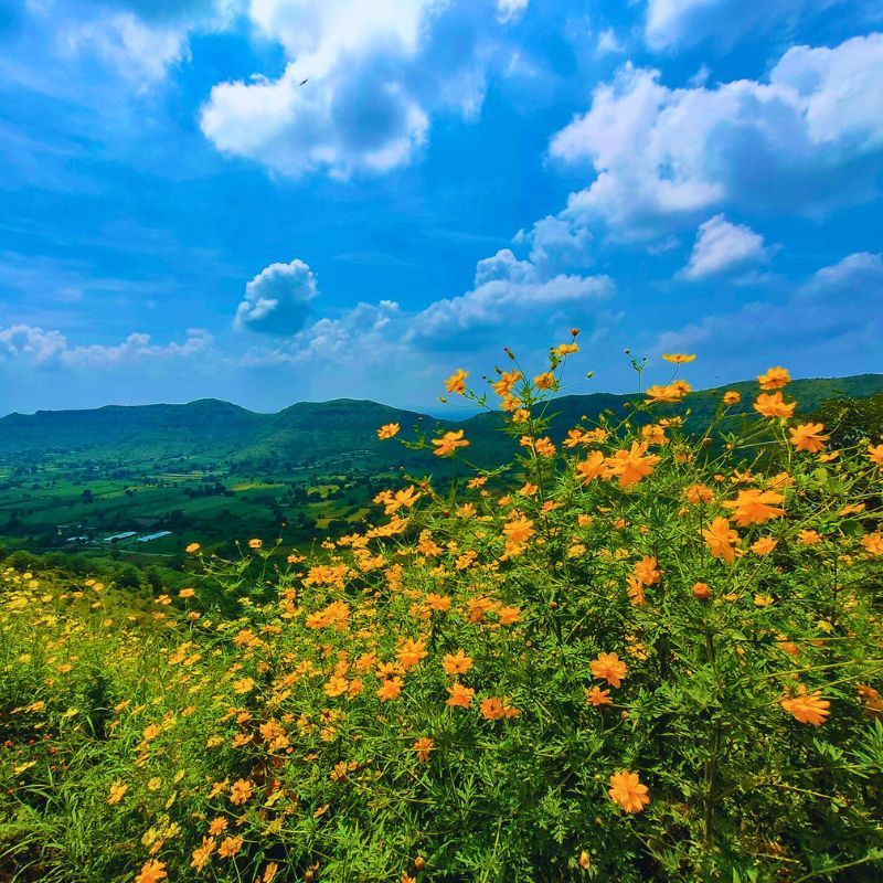 Tourist Attractions In Coorg, Your Ultimate Summer Getaway In Karnataka