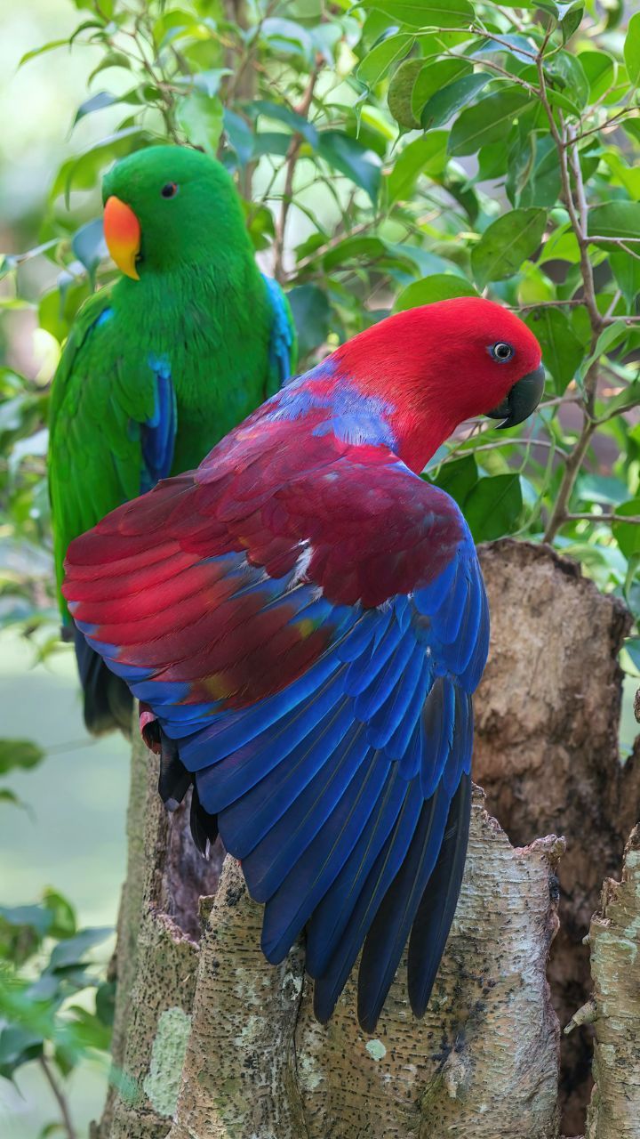 Beautiful Animals You Can Find Around The World