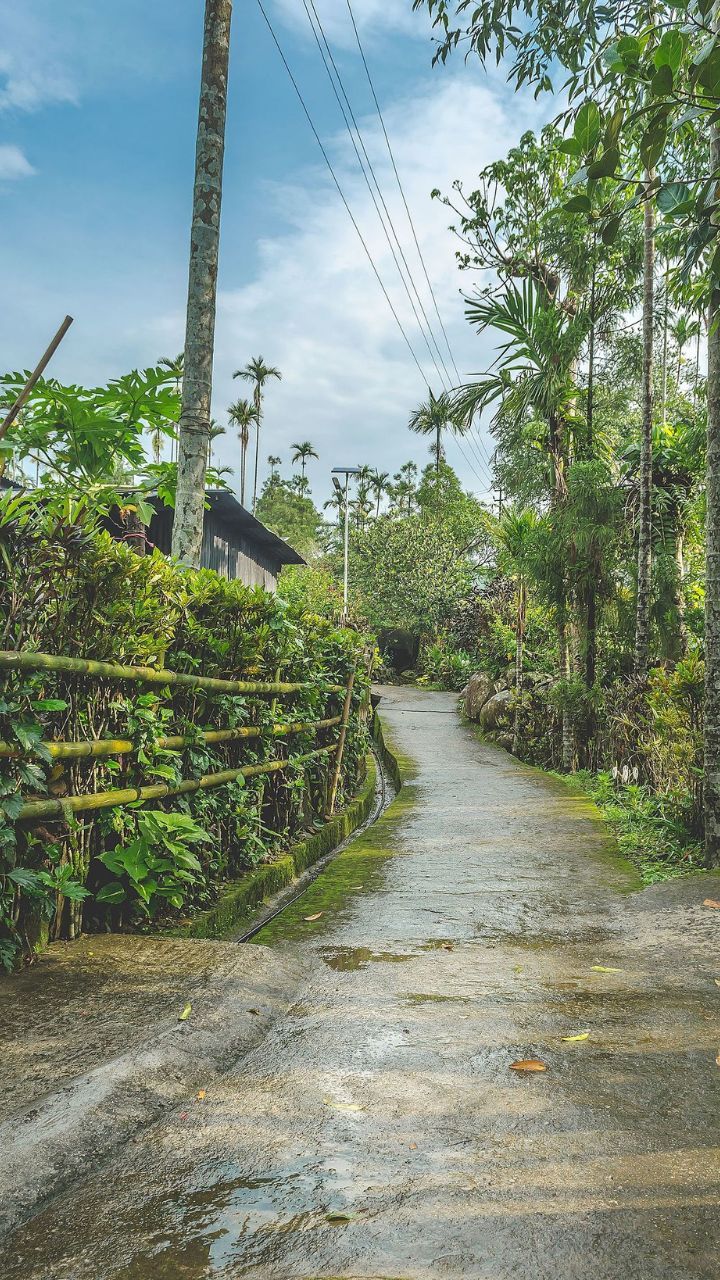 Cleanest Village In India: Things To Do And See