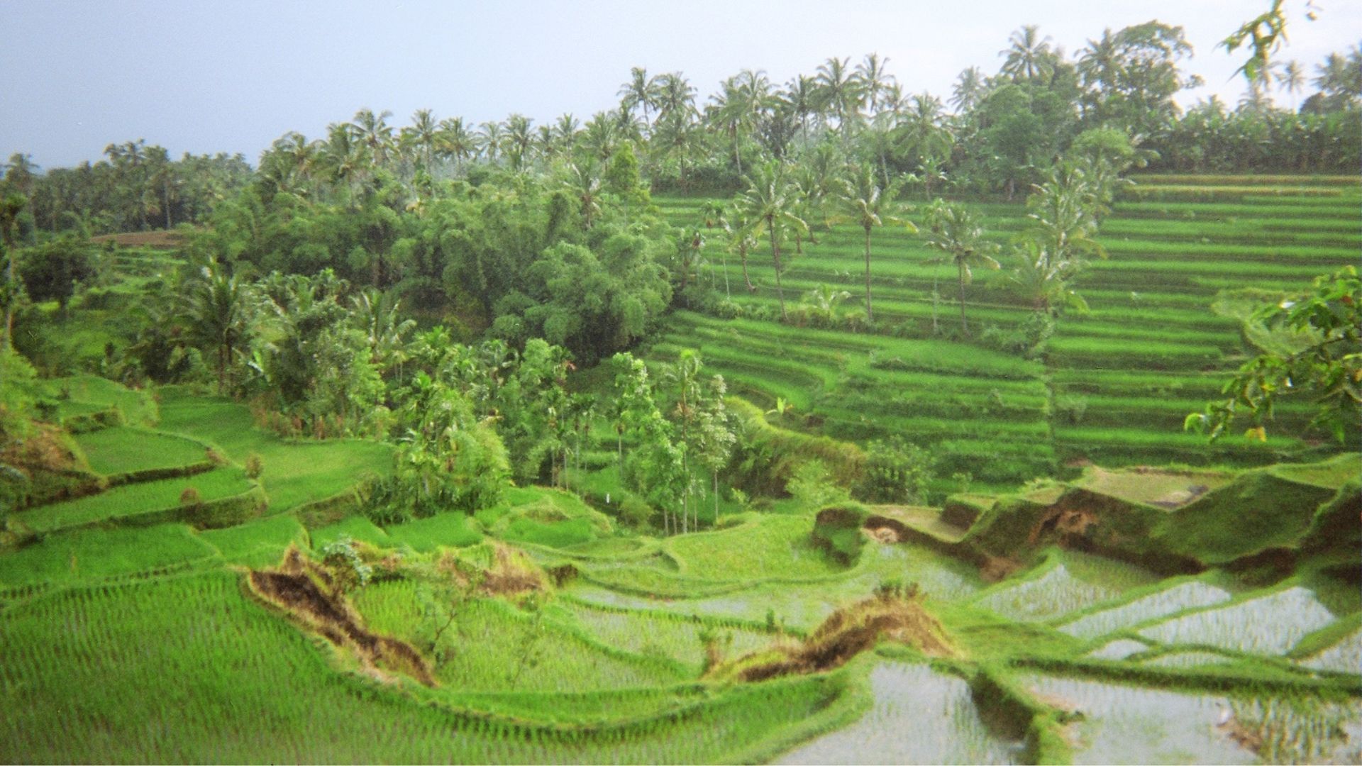 Lombok: The Only Guide You'll Need To Explore This Indonesian Paradise